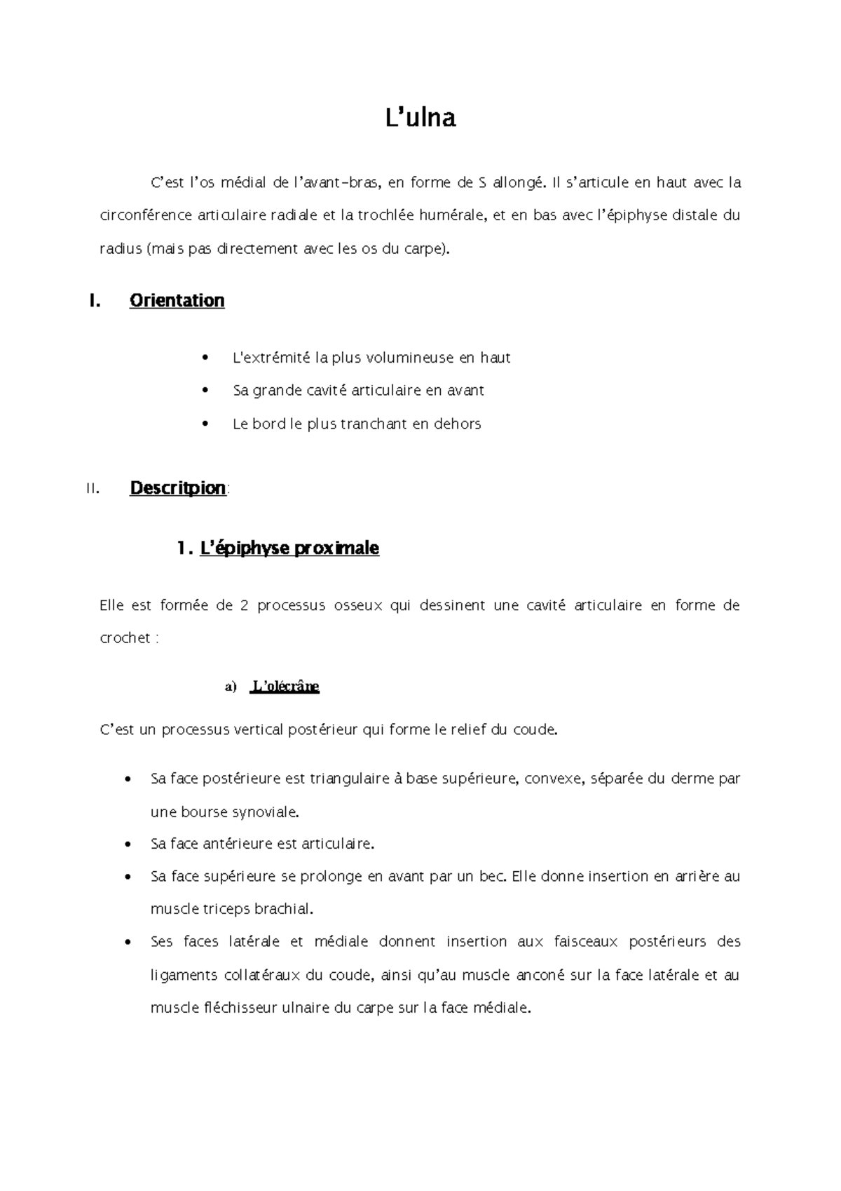 Anatomie de L’ulna part 2 - L’ulna C’est l’os médial de l’avant-bras ...