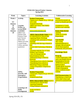 Care Plan Worksheet - Care plan for teaching patients - NURS 223 ...