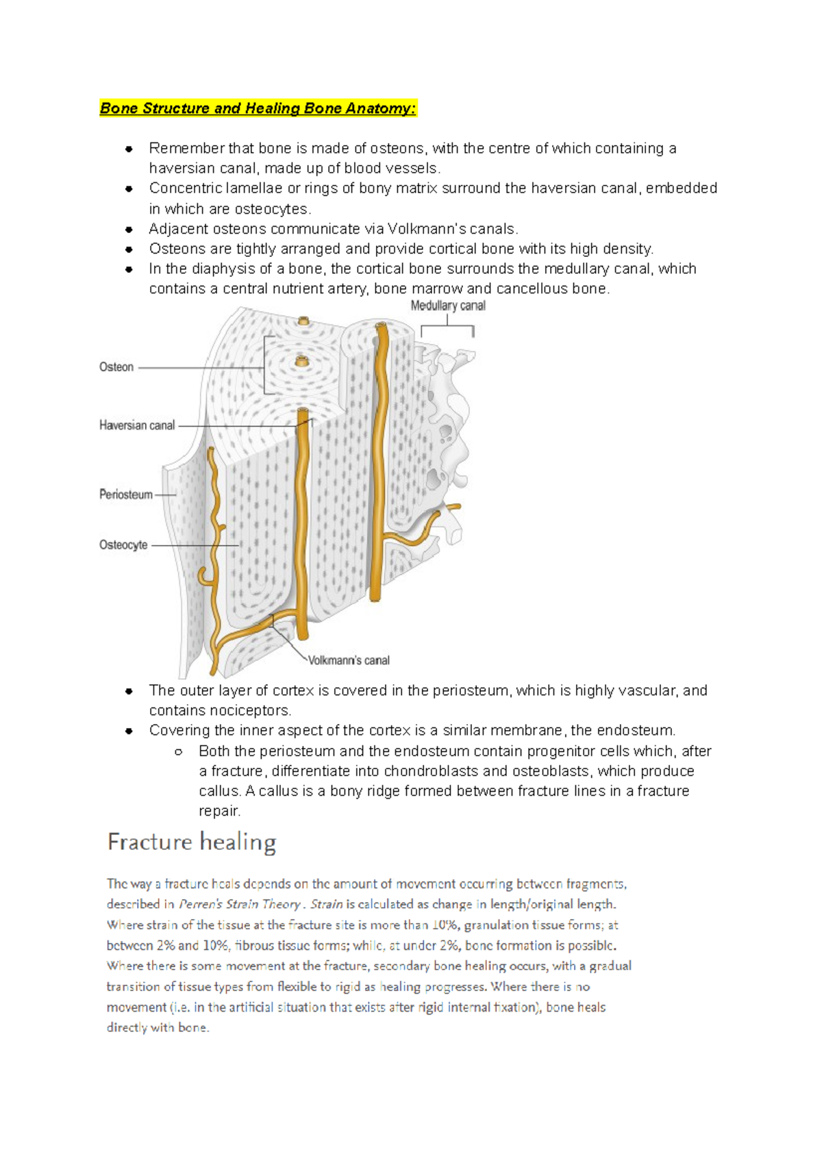 Bone Healing - Lecture notes Year 4 Musculoskeletal - Bone Structure ...