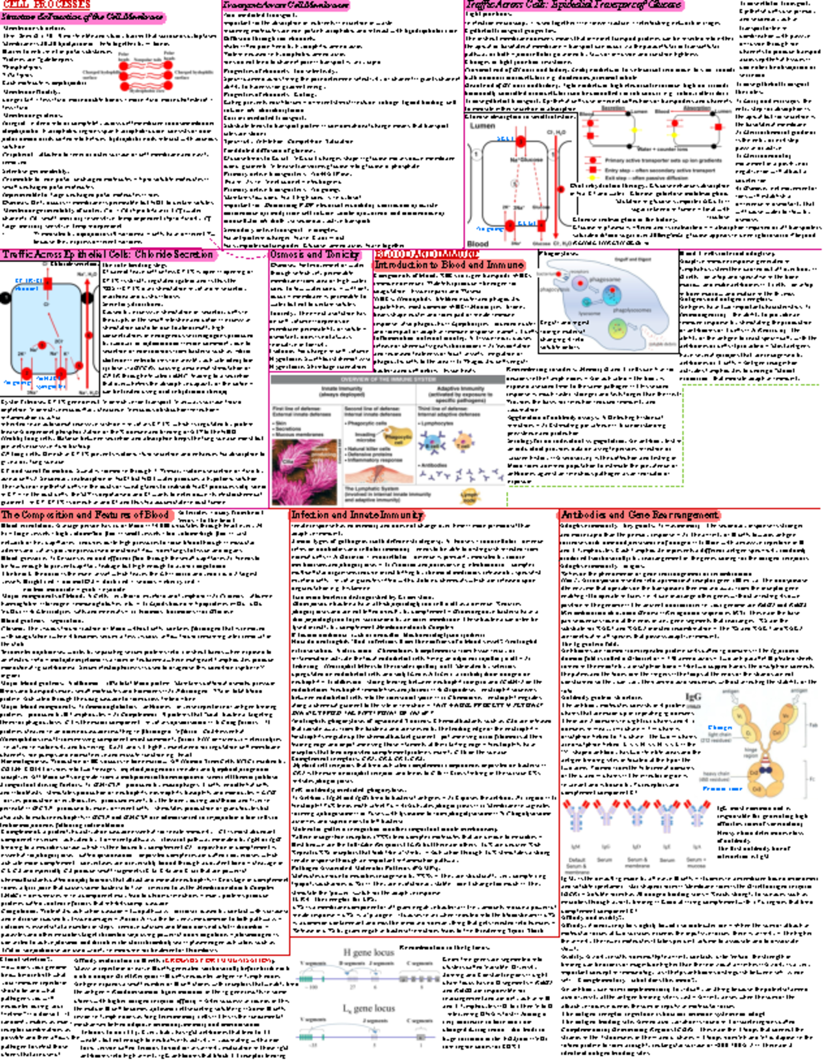Exam Cheat Sheet - CELL PROCESSES Structure & Function of the Cell ...