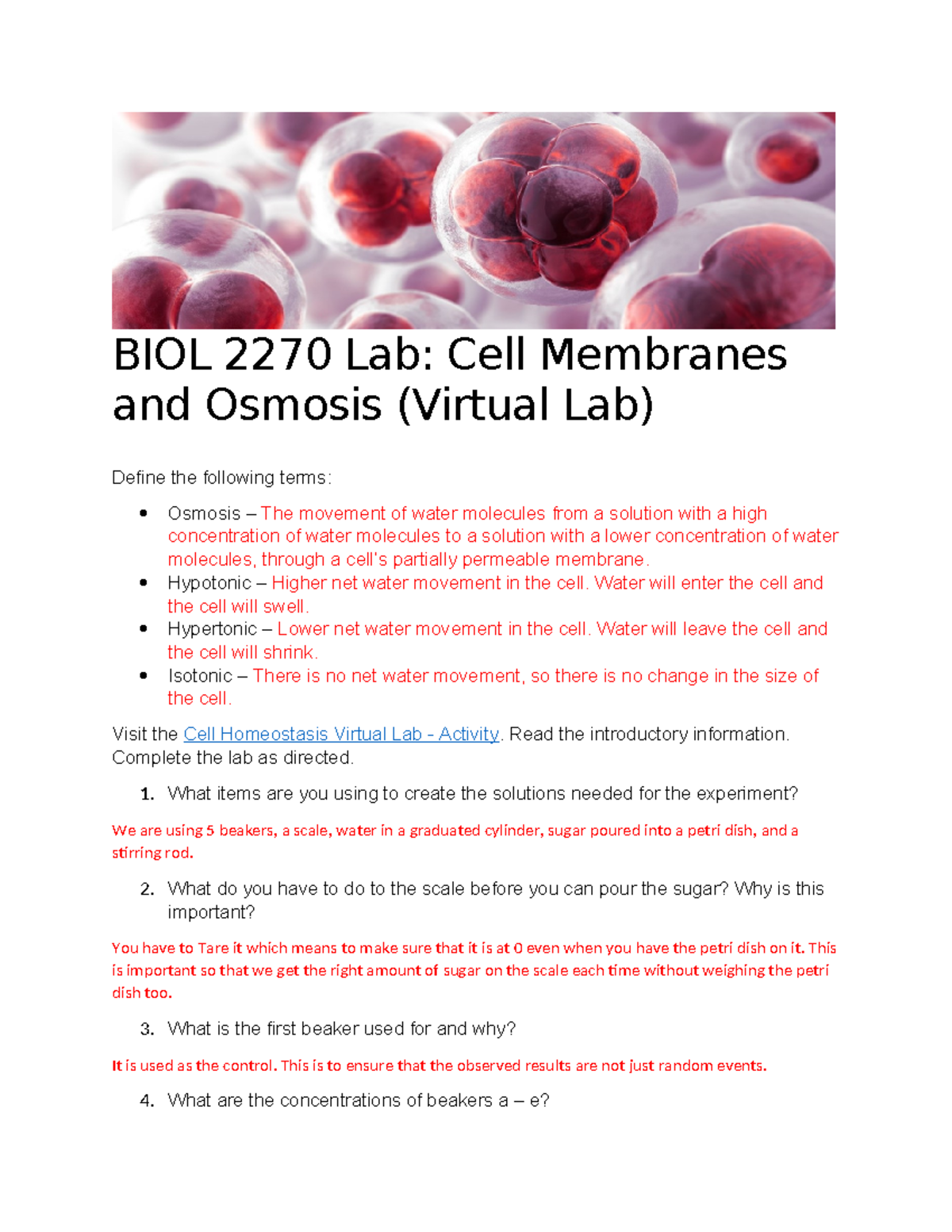 Cell Membranes and Osmosis Lab - BIOL 2270 Lab: Cell Membranes and ...