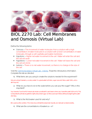 Metric System & Microscopes (Virtual Lab) - BIOL 2270 Lab: Metric ...