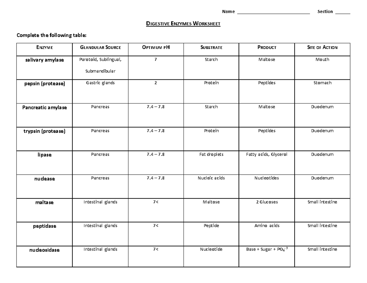 Biology 12 - Unit I - Human Biology - Digestive System - Digestive ...