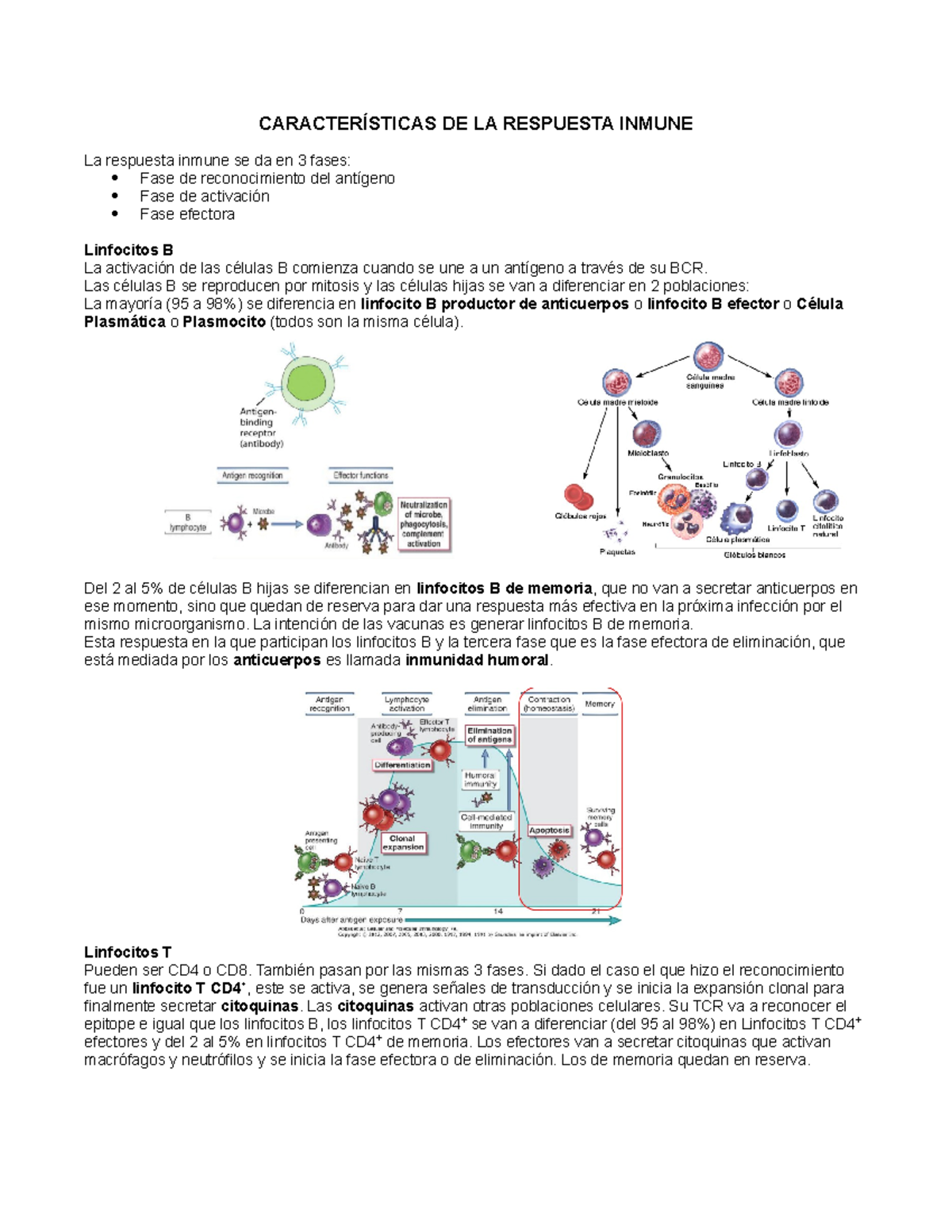 2. Características de la Respuesta Inmune Adaptativa, linfocitos B y linfocitos T ...