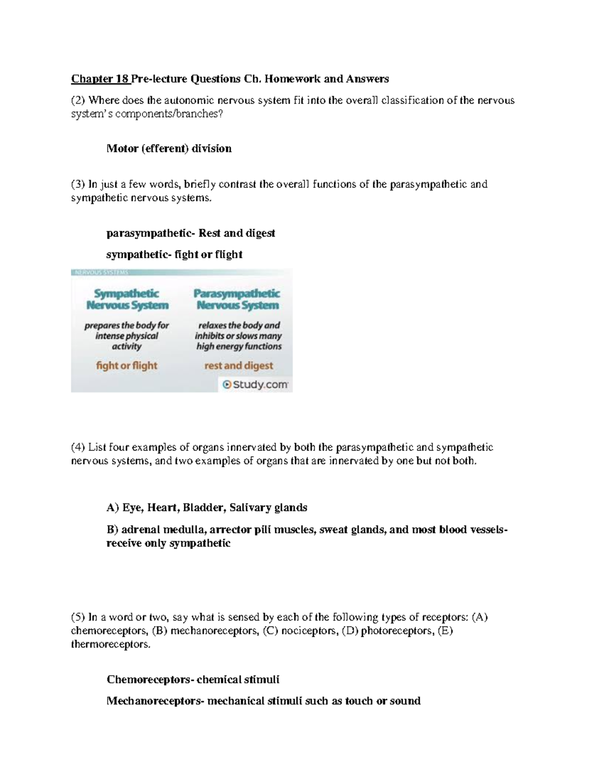 Chapter 18 Q and A - Summary Fundamentals Of Human Anatomy - Chapter 18 ...