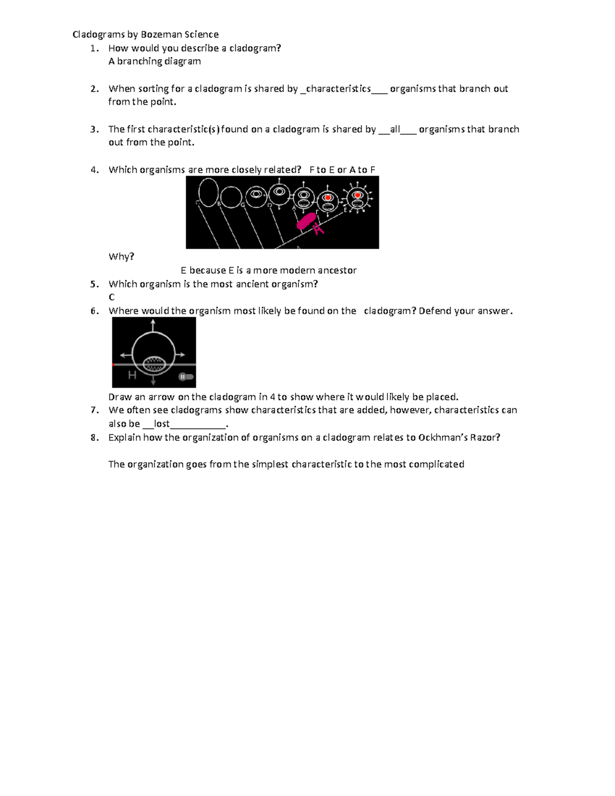 Cladograms by Bozeman Science video questions - Cladograms by Bozeman ...