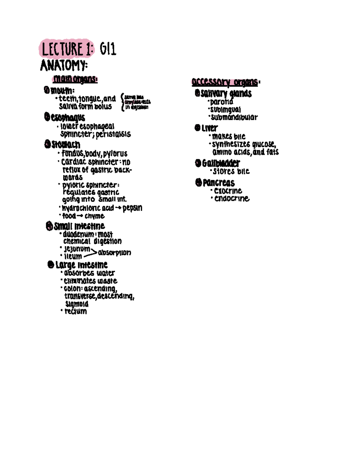 GI Lecture 1 - Notes - NUR1241C - Studocu