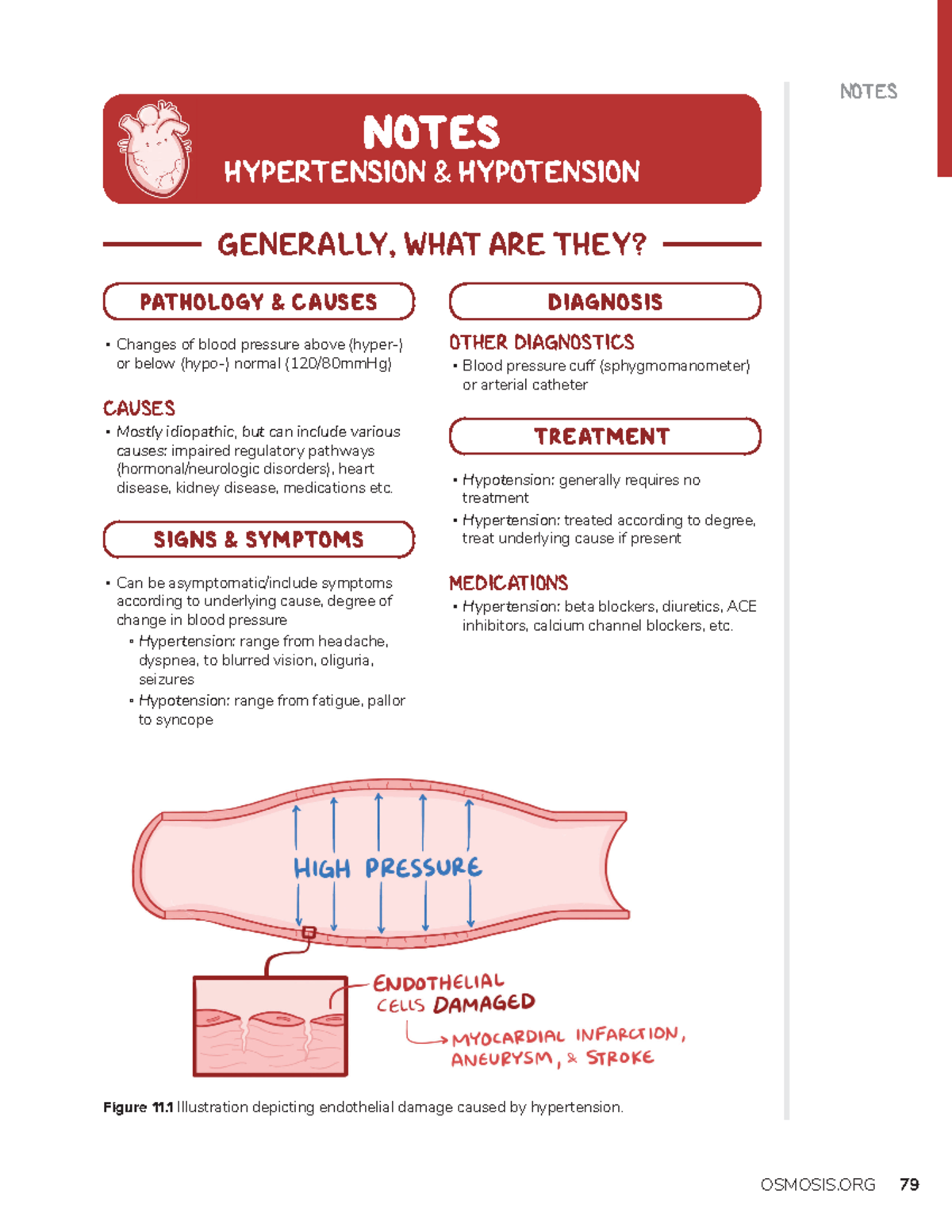 Hypertension and hypotension - NOTES GENERALLY, WHAT ARE THEY? Changes ...