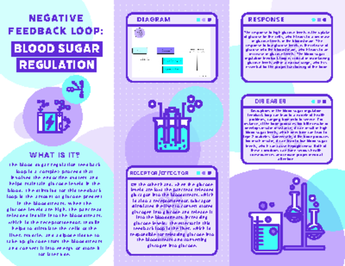Negative Feedback LOOP Brochure APBio - NEGA IVE FEEDBACK LOOP: BLOOD ...