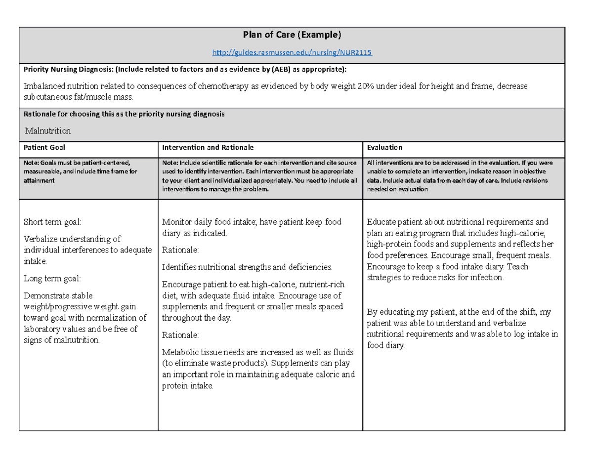 nursing care plan - Plan of Care (Example) guides.rasmussen/nursing/NUR ...