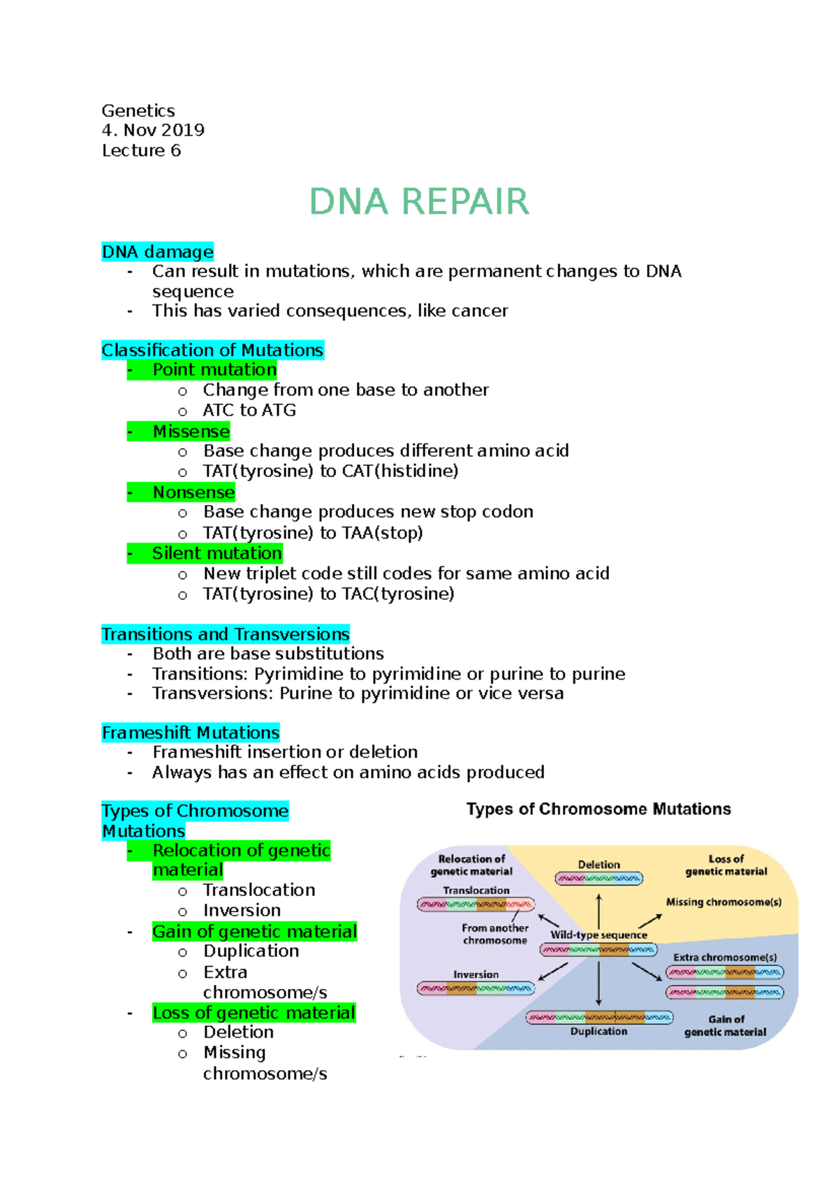 6 - Genetics - Lecturer: Donna Year 1 Biomedical Sciences - Genetics 4 ...