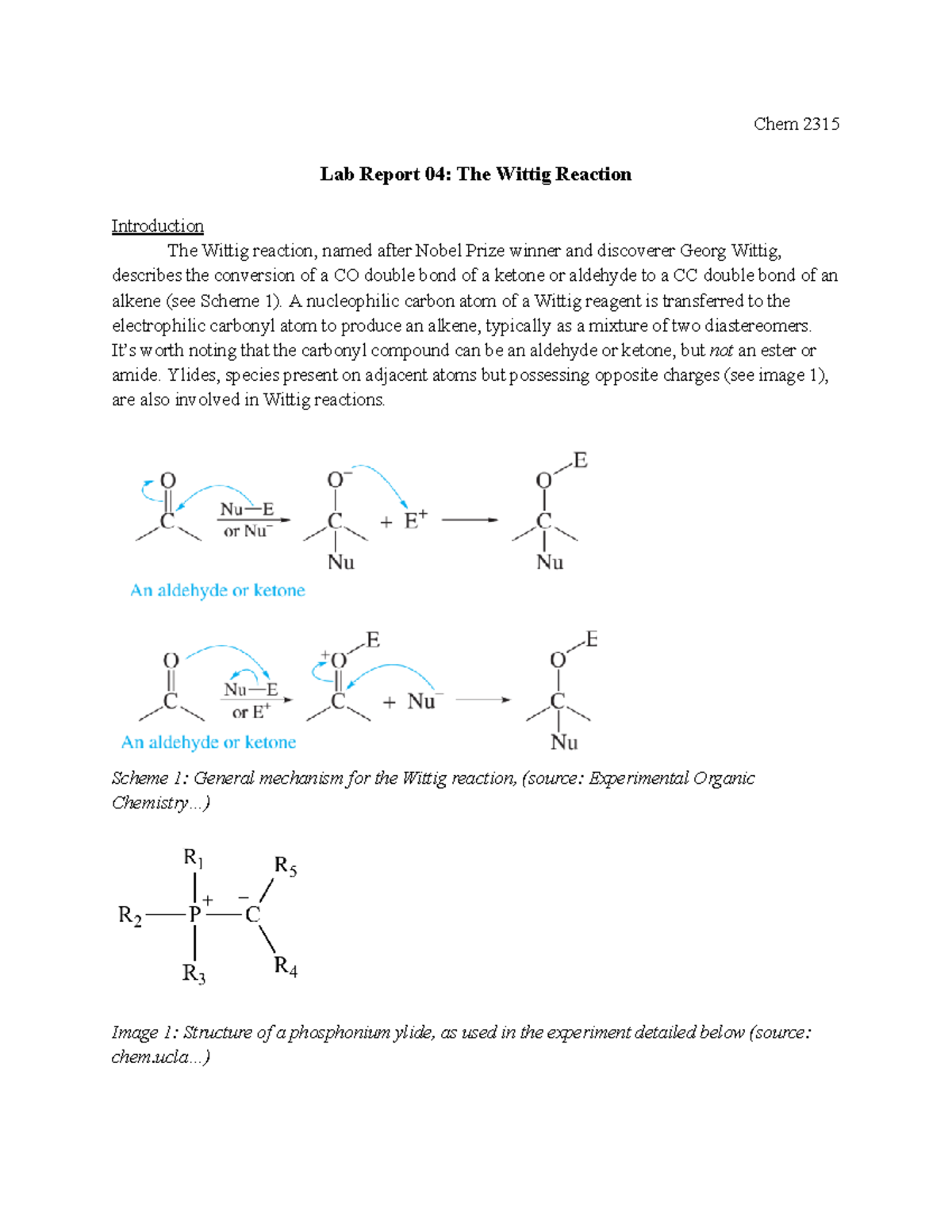 Lab Report 04 - Experimental Organic Chemistry: a Miniscale and ...