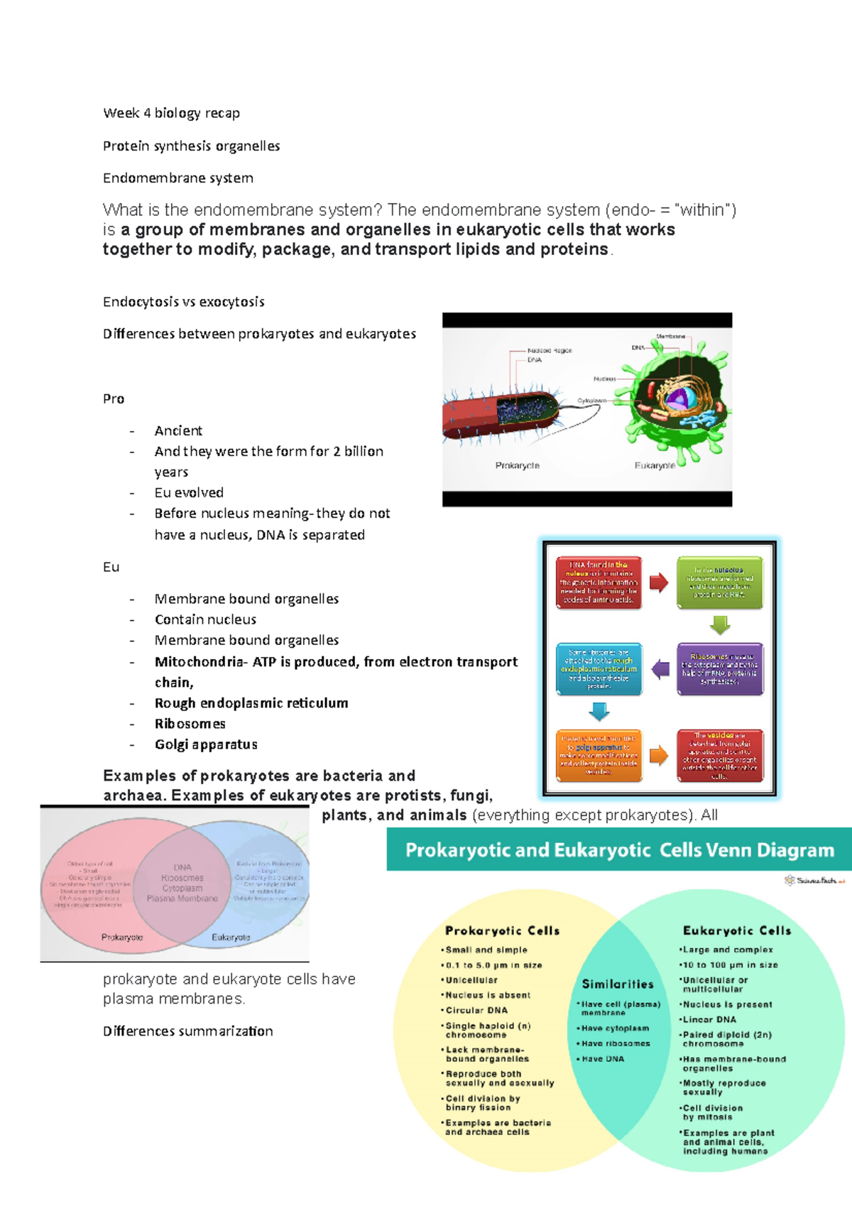 Week 4 biology recap - notes to help you suceed - Week 4 biology recap ...