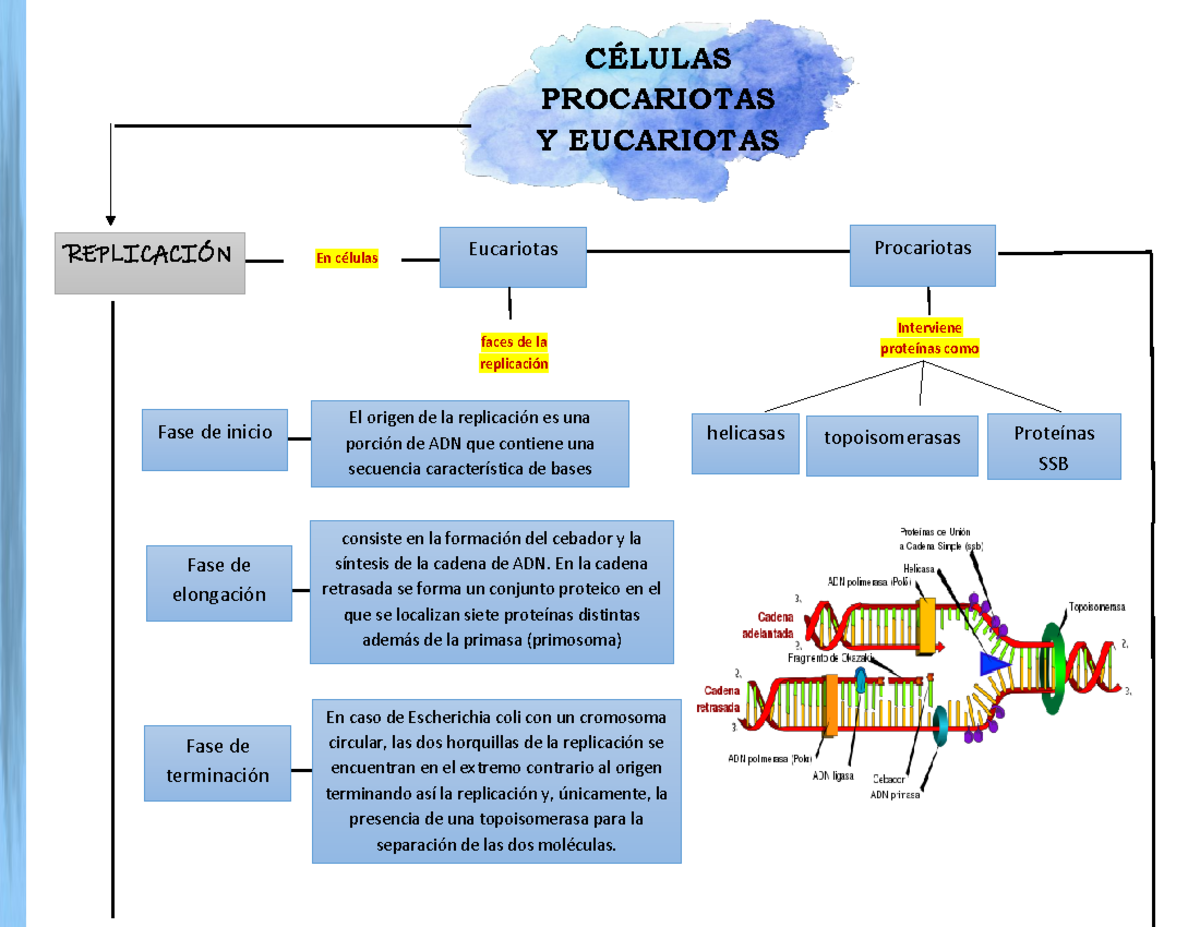Bacteriologia - En Bacteriología se estudian la fundamentación teórica ...