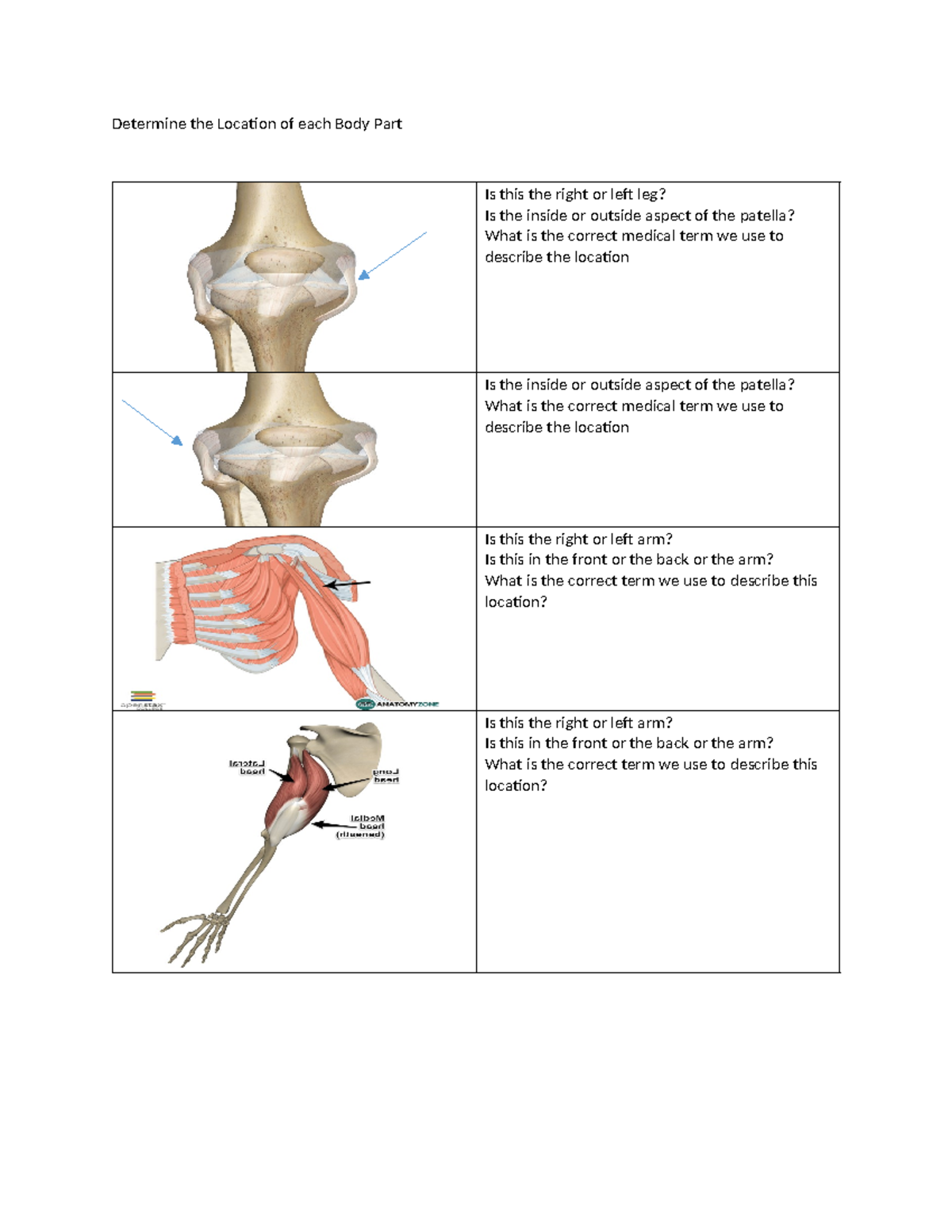 Determine the Location of each Body Part - Studocu