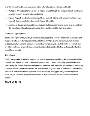 Koko - eng - Sharks are a diverse group of cartilaginous fish belonging ...