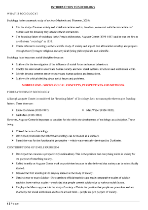 Theories of Poverty - THEORETICAL PERSPECTIVES OF POVERTY The ...