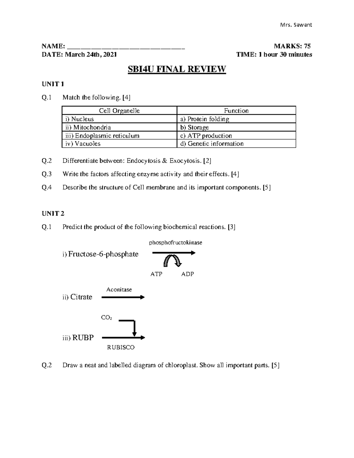 SBI4U Final Review Practice Exam - 17976 - BCU - Studocu
