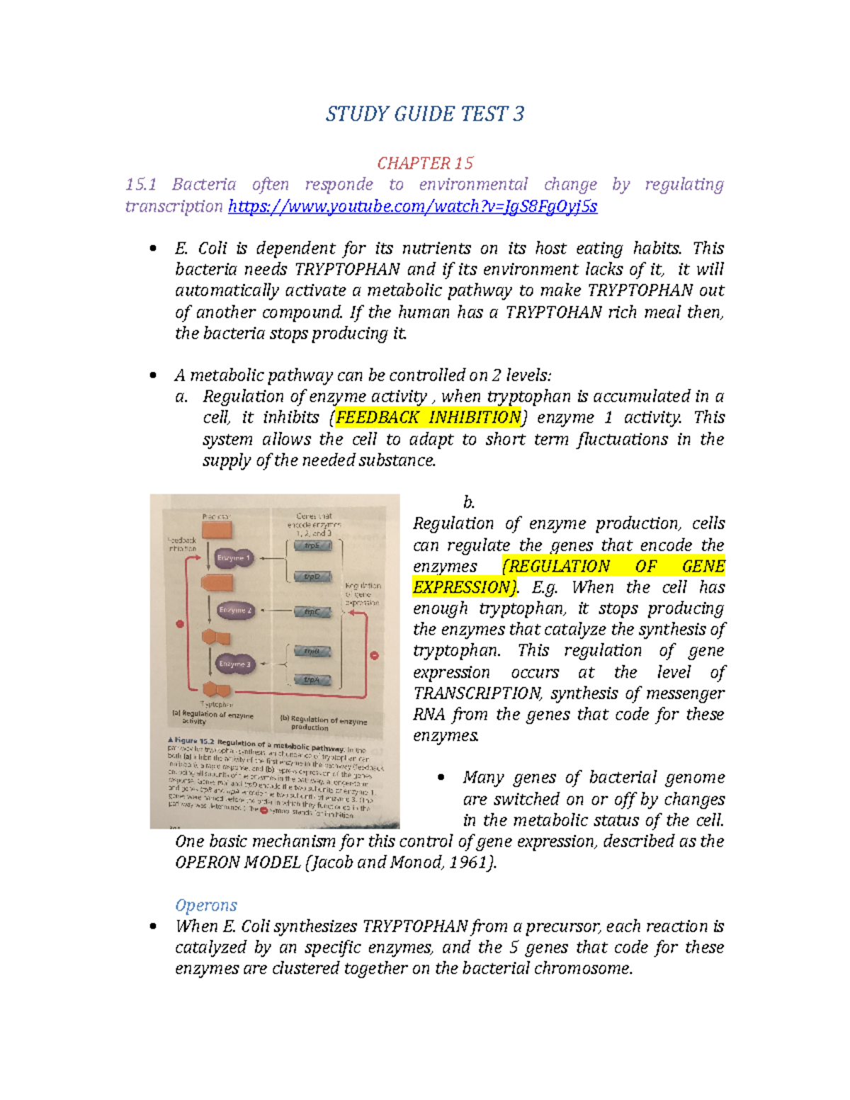 Study Guide TEST 3 BIO 1 - STUDY GUIDE TEST 3 CHAPTER 15 15 Bacteria ...