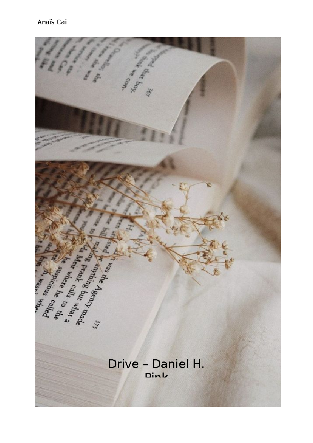 Drive-Daniel-H - Drive – Daniel H. Pink Introduction The introduction ...