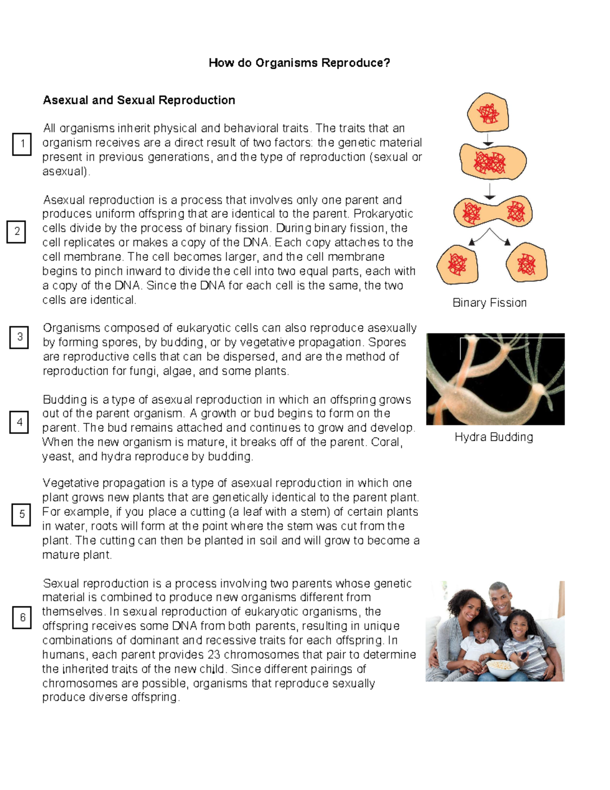 How do Organisms Reproduce - How do Organisms Reproduce? Asexual and ...