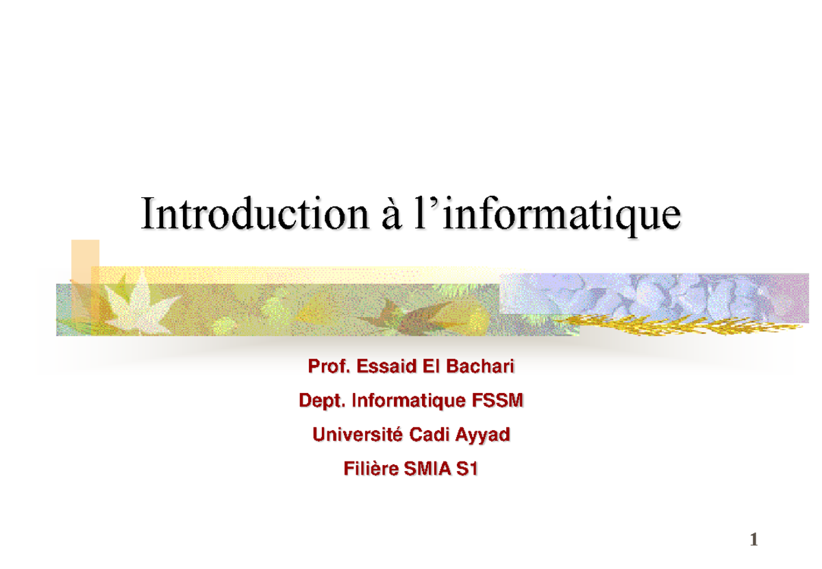 Chapitre 6 - Cours d'Informatique SMIA s1 par Prf. Essaid El Bachari ...