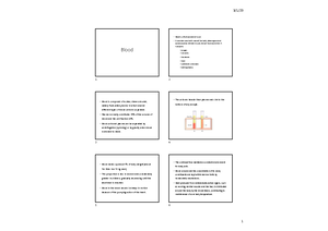 KMA JOB Adverts FEB 2024 - KENYA MARITIME AUTHORITY EXTERNAL JOB ...