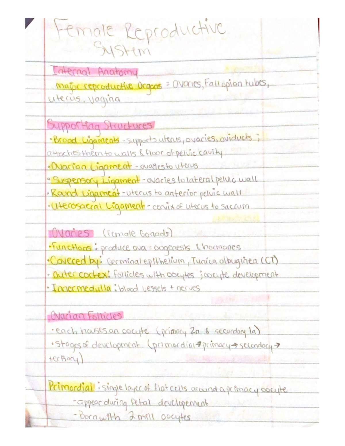 Female Reproductive And meiosis - BIOL 430 - Studocu