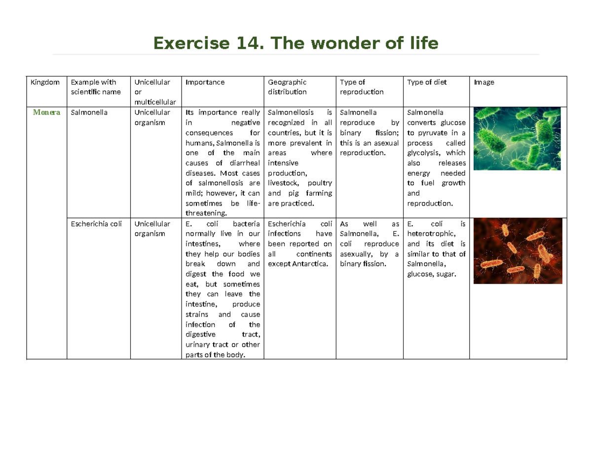 Activity 14 Life science - Exercise 14. The wonder of life Kingdom ...