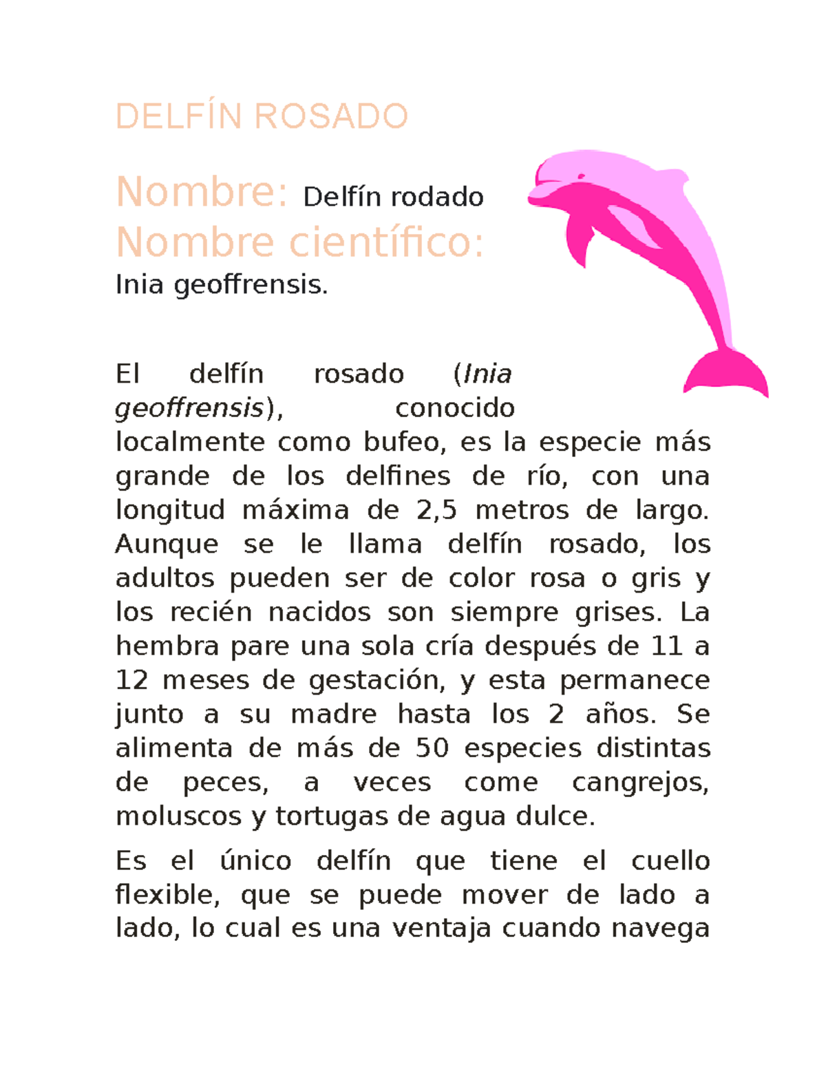 Delfín Rosado - DELFÍN ROSADO Nombre: Delfín rodado Nombre científico ...