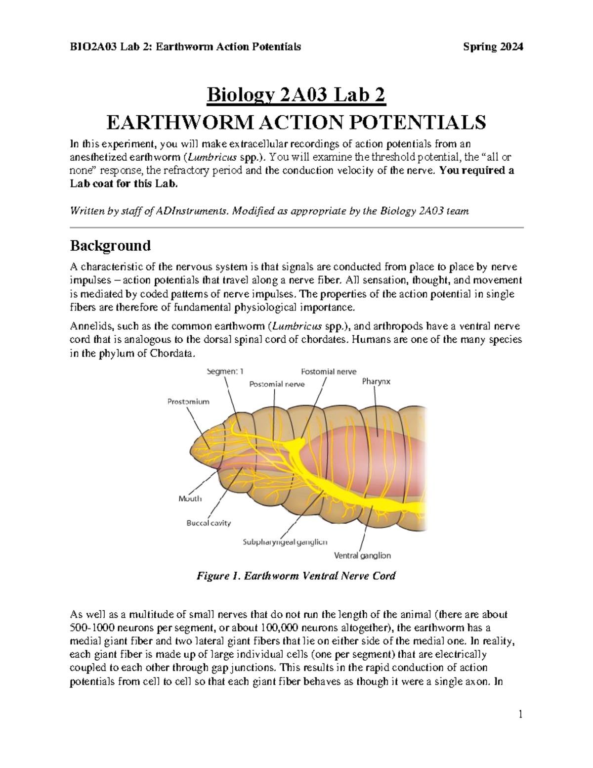 Lab2 Manual BIO2A03 S24 - Biology 2A03 Lab 2 EARTHWORM ACTION ...