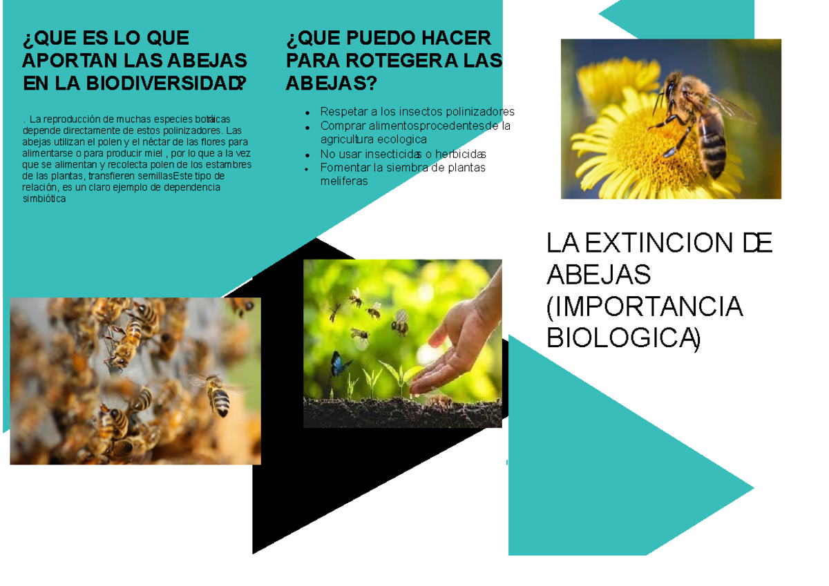 Tiptico terminadoooo - Tríptico - ¿QUE ES LO QUE APORTAN LAS ABEJAS EN LA BIODIVERSIDAD? . La ...