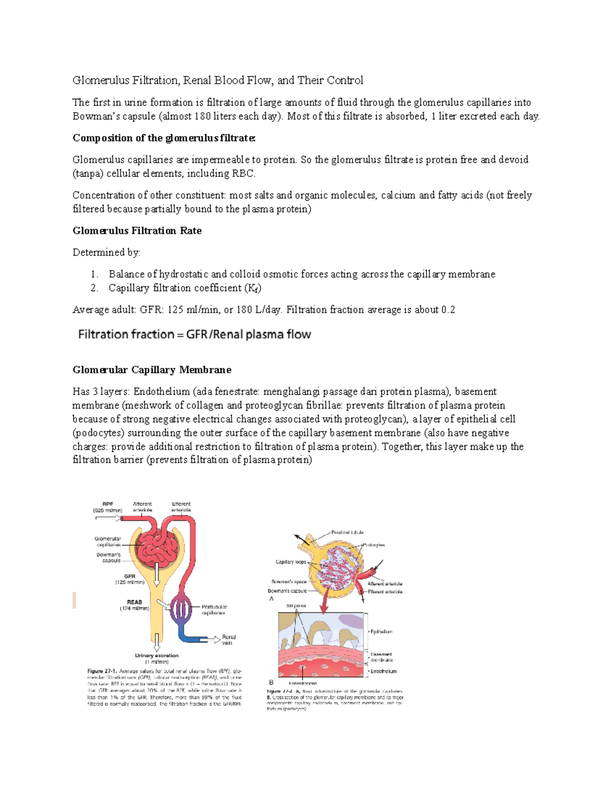 Glomerulus Filtration Renal blood flow notes - Glomerulus Filtration ...
