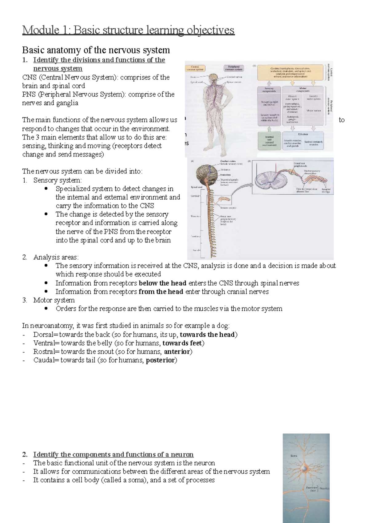 Module 1 - Lecture notes 1,2,3 - Module 1: Basic structure learning ...