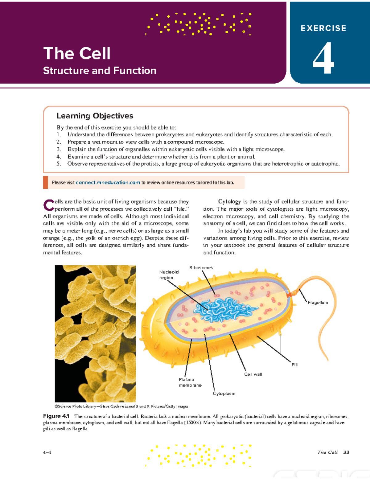 Lab Manual Lab 2 - 4–1 The Cell 33 The Cell Structure and Function 4 E ...
