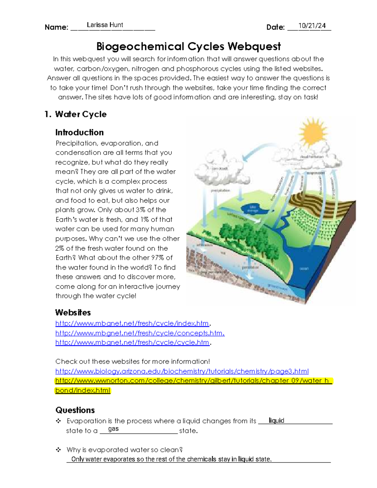 Larissa Hunt - Biogeochemical Cycles Webquest 1 - Name ...