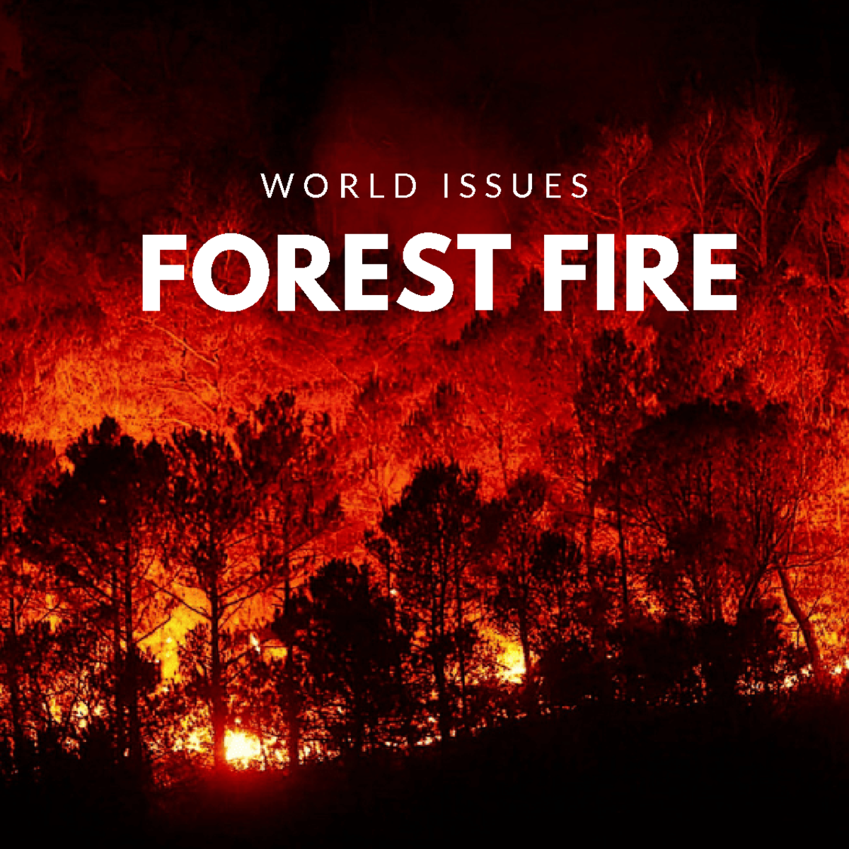 Forest fire - ppt final project - Intermedio 07 - W O R L D I S S U E S FOREST FIRE HOW TO ...