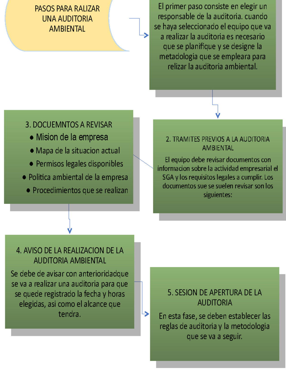 Diagrama De Flujo Pasos Para Ralizar Una Auditoria Ambiental 1