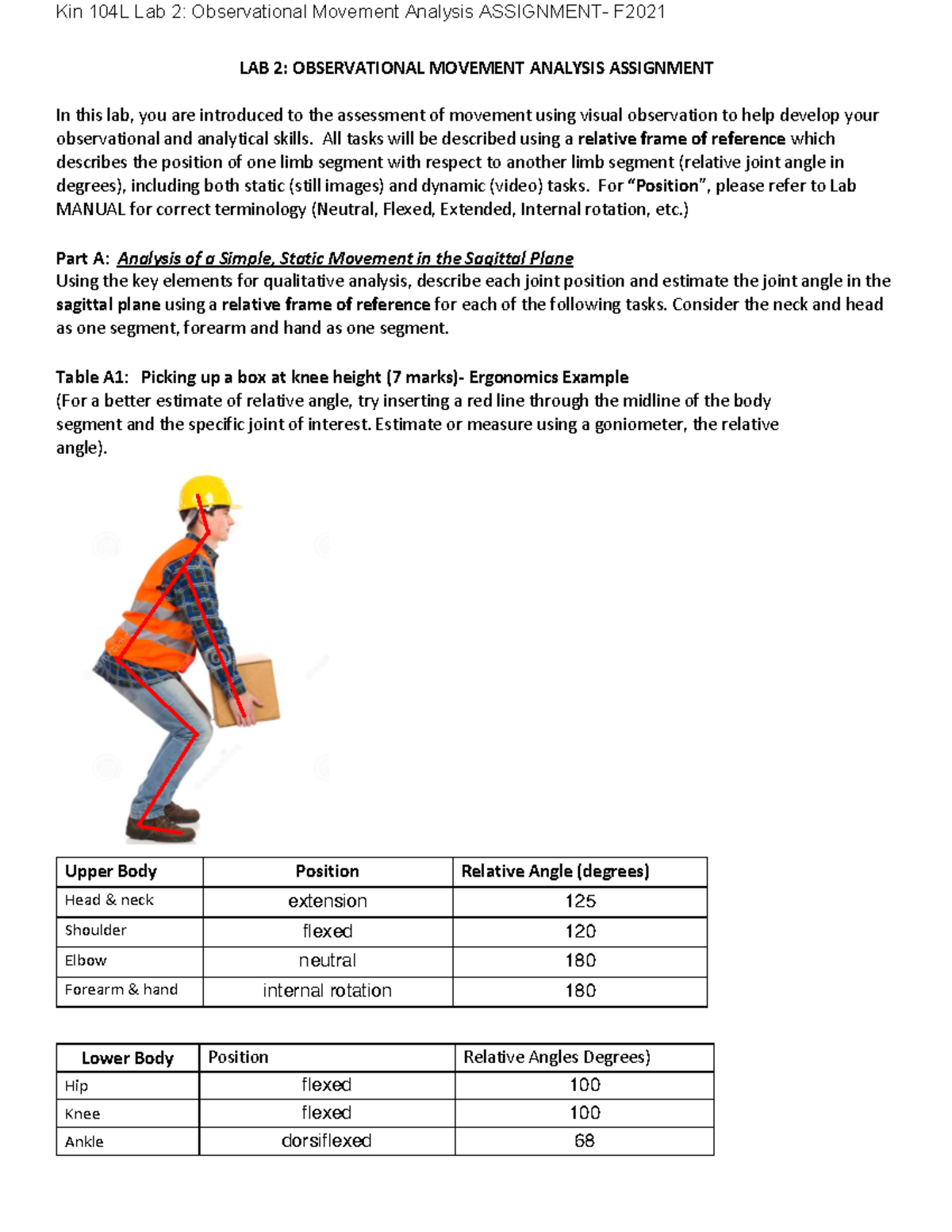 Lab 2 Observational Movement Analysis Assignment-F2021-Fillable-1 - LAB ...
