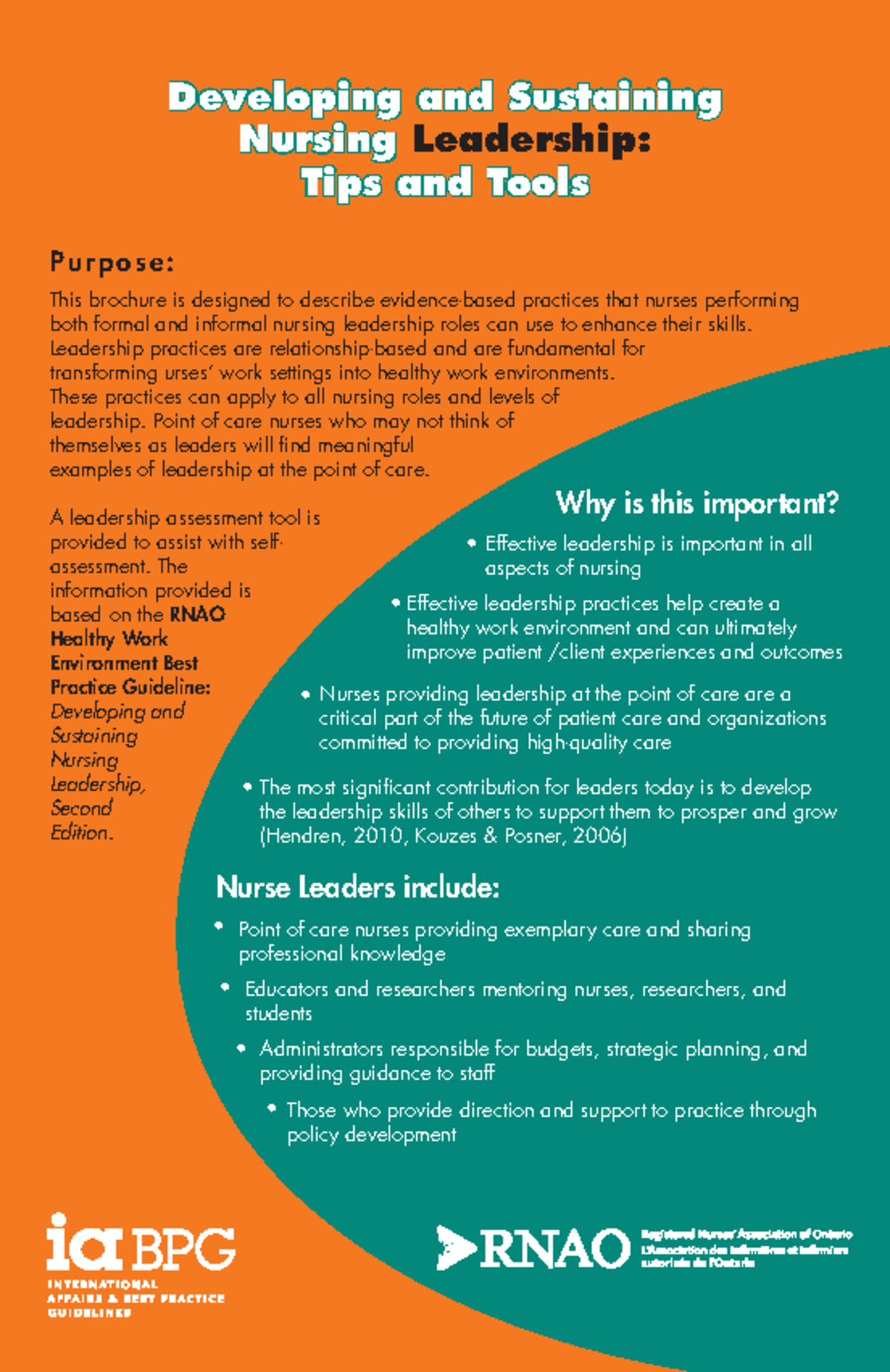 RNAO TOOL sssssssssssss - Developing and Sustaining Nursing Leadership ...