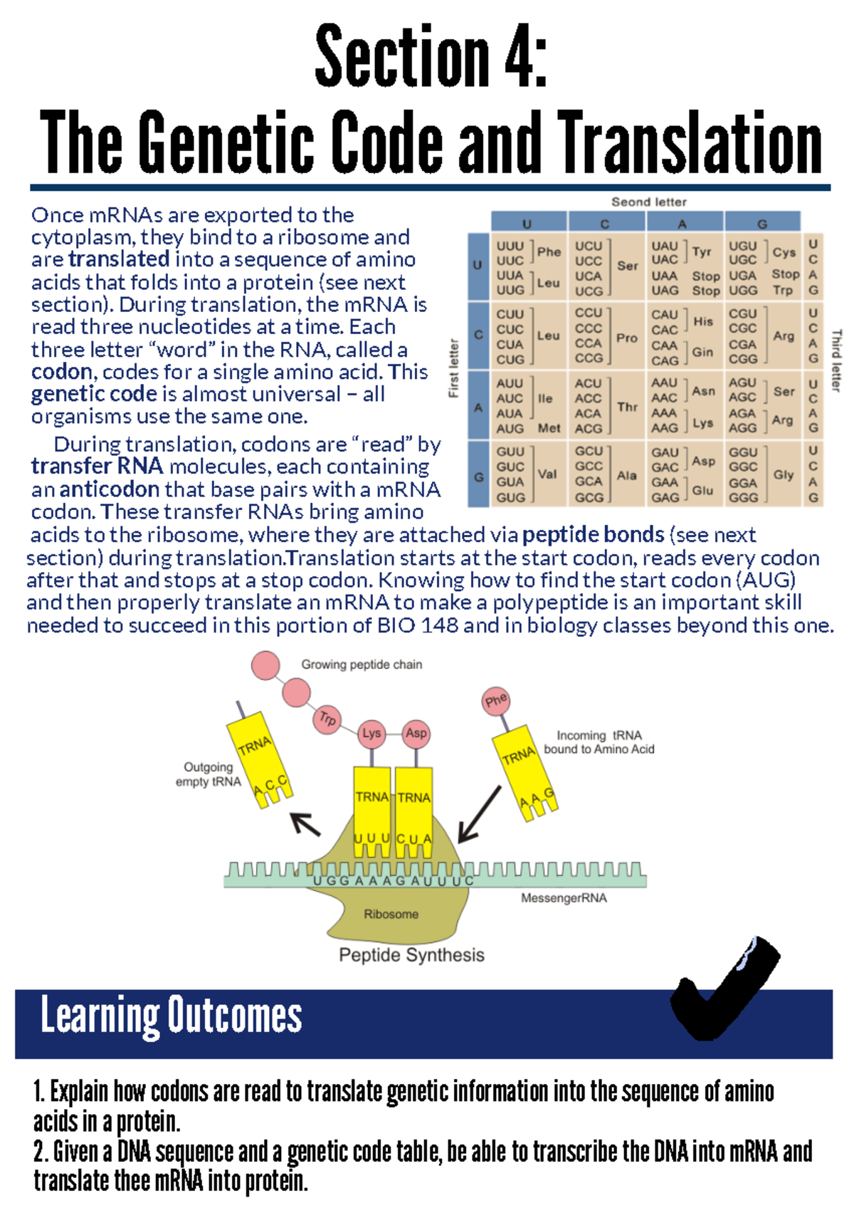 section 4: The Genetic Code and Translation - Section 4: The Genetic ...