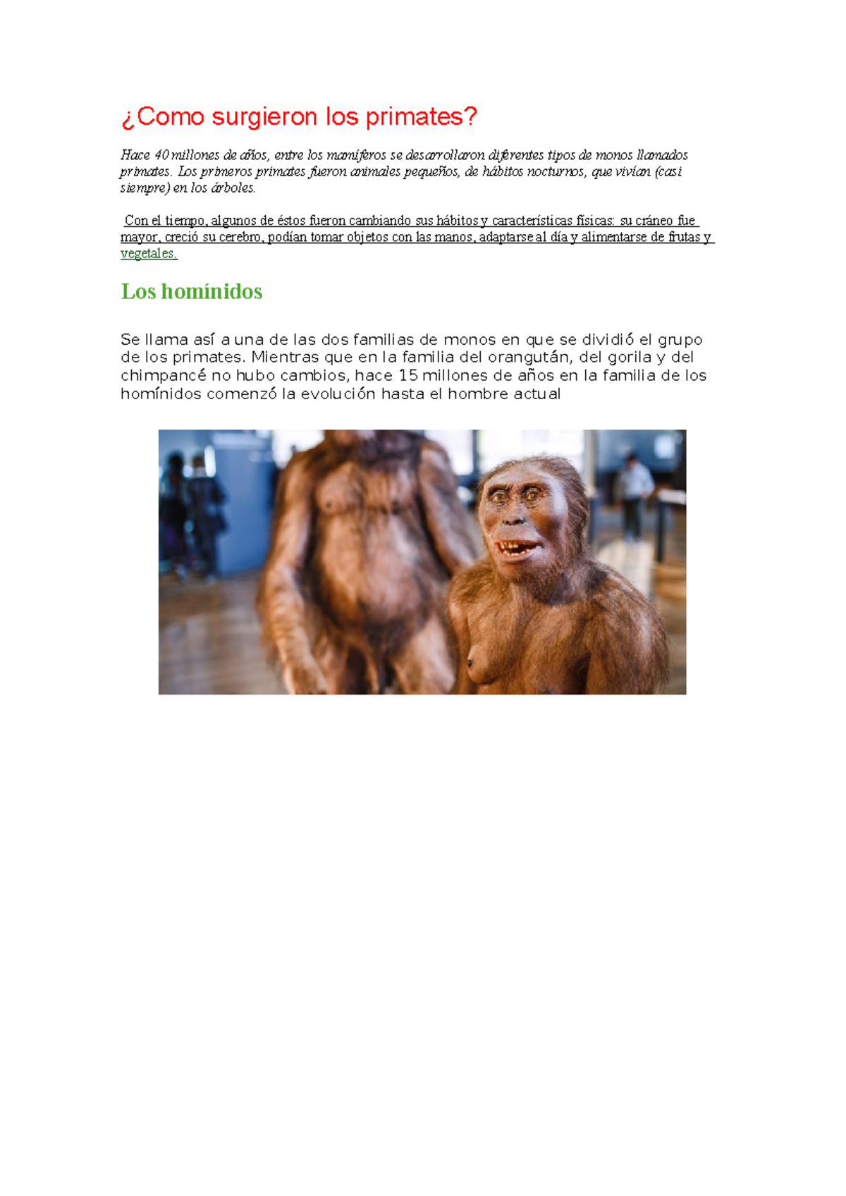 Anexo 1 Primates Actividad - ¿Como surgieron los primates? Hace 40 ...