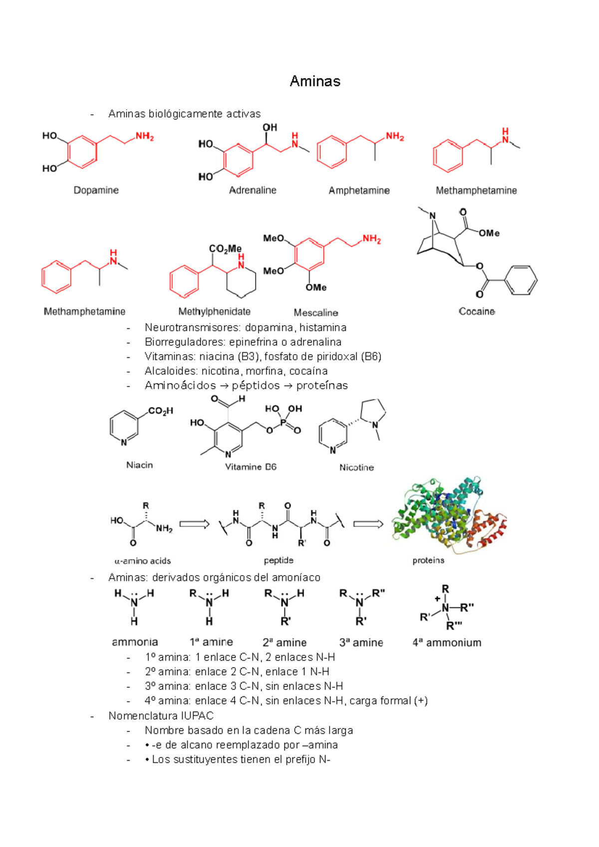 Tema 12 - Reacciones de las aminas - Aminas Aminas biológicamente ...