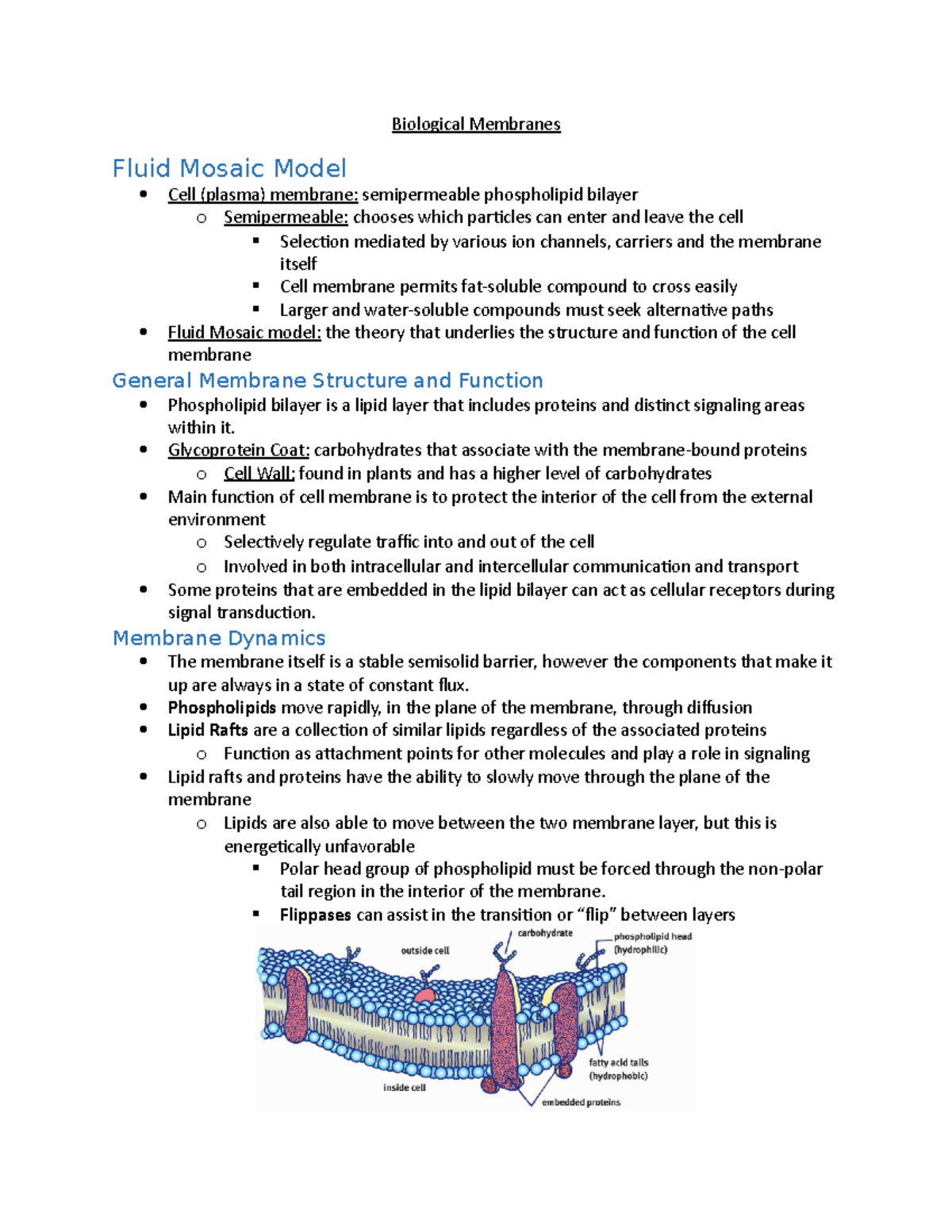 Biological Membranes - Comprehensive Biochemistry Notes - Biological ...