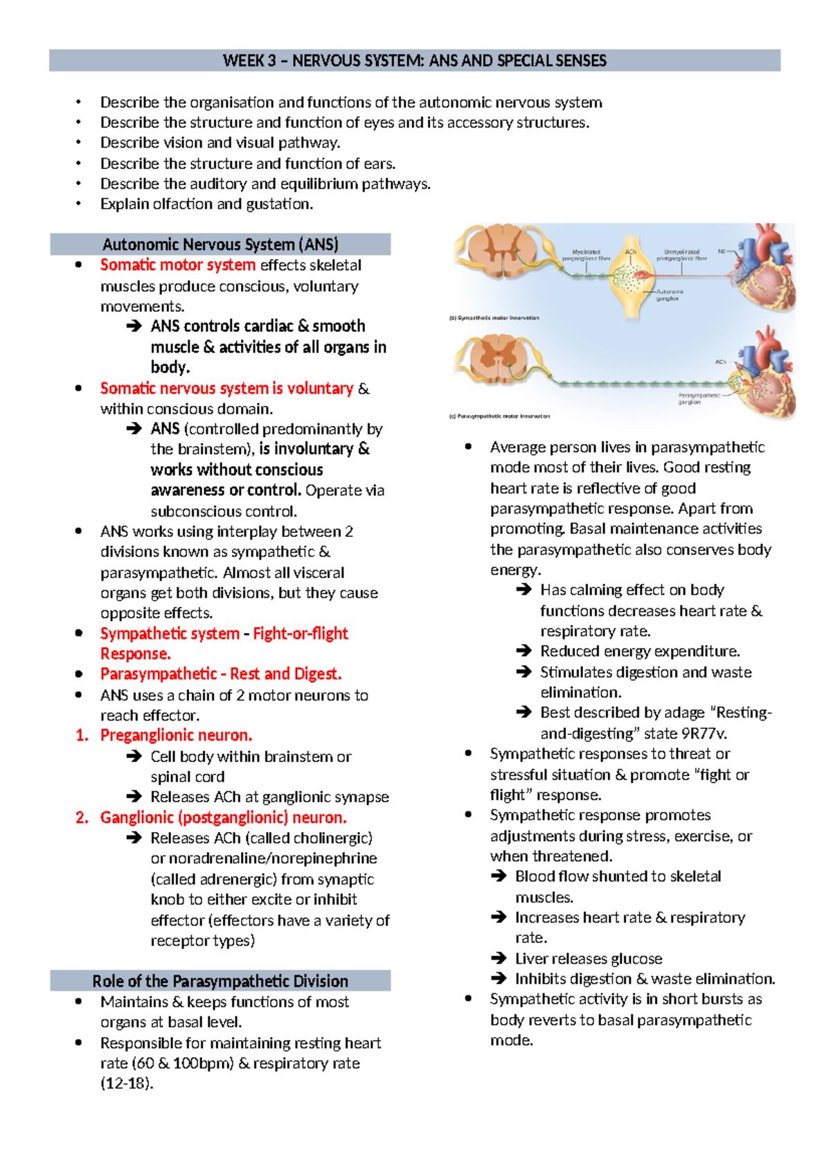 Nervous System ANS & Special Senses - WEEK 3 – NERVOUS SYSTEM: ANS AND ...
