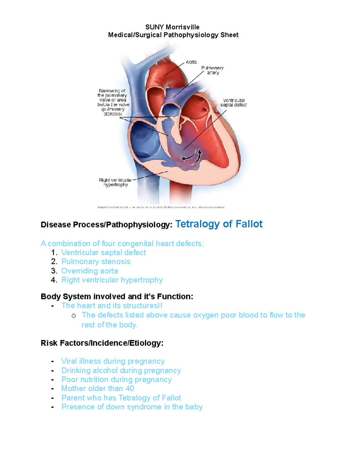 Pathosheet - patho sheet - SUNY Morrisville Medical/Surgical ...