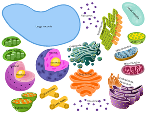 Earthsci- Lesson 1 Lecture - Earth science- is the name of the group of ...