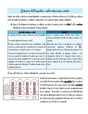 Micro Mol clase 3. Genes - Microbiología Molecular “Genes, cromosomas y ...