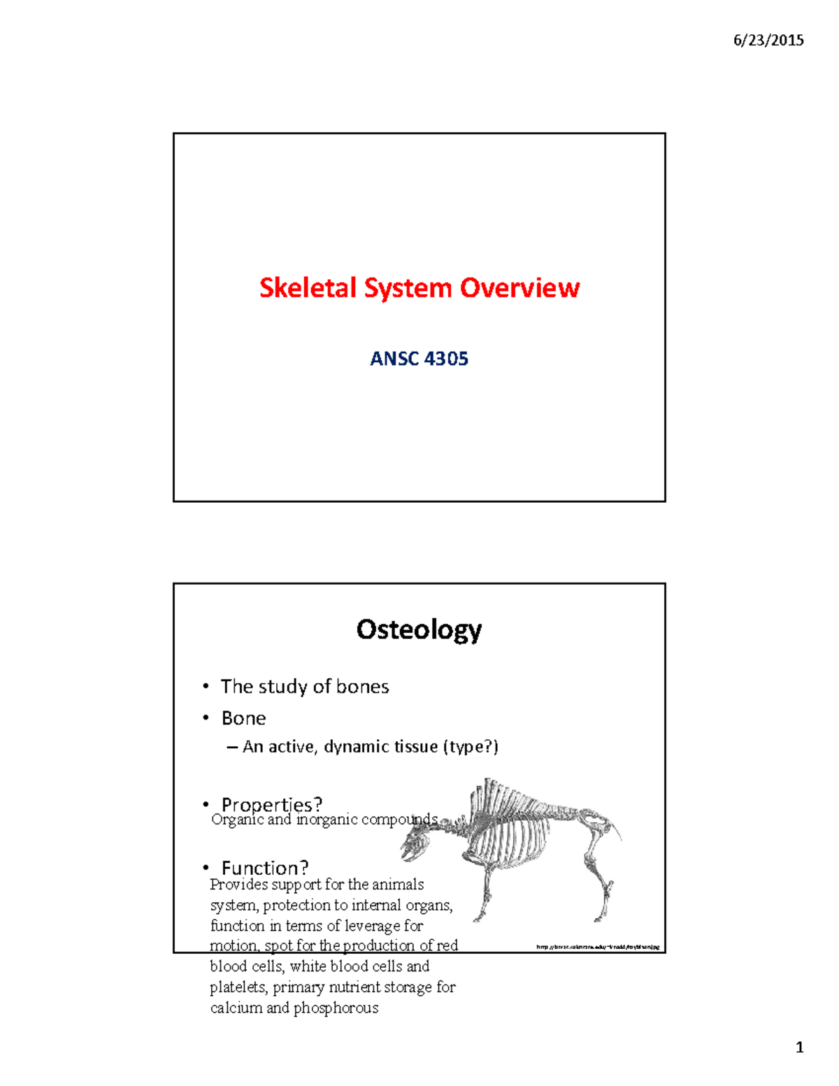 Skeletal System Overview Condensed copy - Skeletal SystemANSC 4305 ...