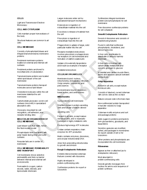 Sketchy-Micro-Flashcards - bacteria STAPHYLOCOCCUS AUREUS “Golden Staff ...